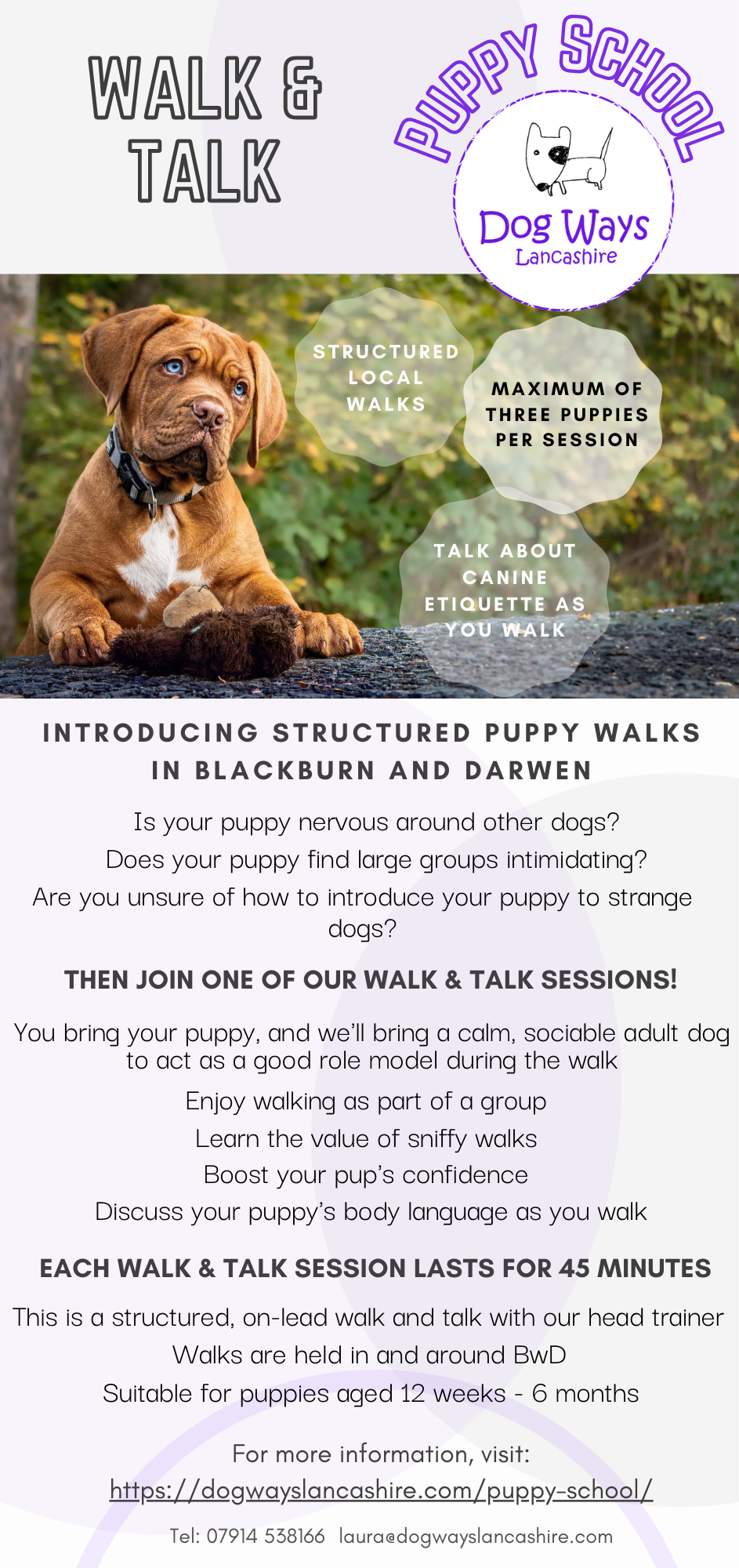 Puppy Social – Walk & Talk – Dog Ways Lancashire